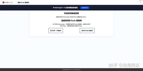 Docker 安装 Redis 和可视化工具 Redisinsightredisinsight Docker Csdn博客