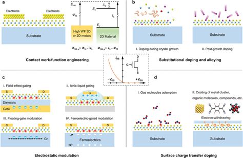 Overview Of The General Modulation Strategies For Realizing P‐type Download Scientific Diagram
