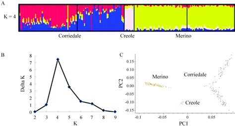 Population Structure Analysis Estimated For 18181 Snps With Four