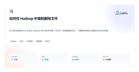 如何在 Hadoop 中强制删除文件 Labex