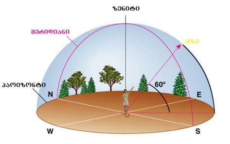 §20 ტერმინები და განმარტებები თავი Iii პლანეტა დედამიწა ზოგადი გეოგრაფია დამხმარე