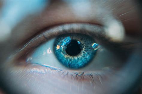 Adversarial Machine Learning Examples Explained Dataconomy