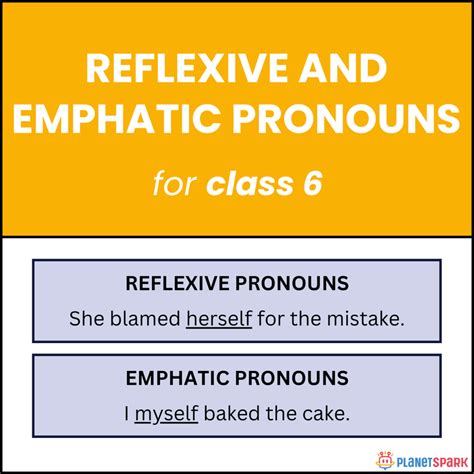 Class 6 English Worksheet On Types Of Sentences Functions And Forms