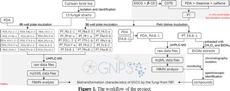 figure 1 from feature based molecular networking analysis of the