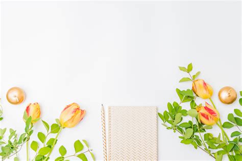 노트북과 노란색 튤립 흰색 배경에 녹색 잎이있는 가지가있는 플랫 레이 블로거 또는 프리랜서 작업 공간 0명에 대한 스톡 사진 및