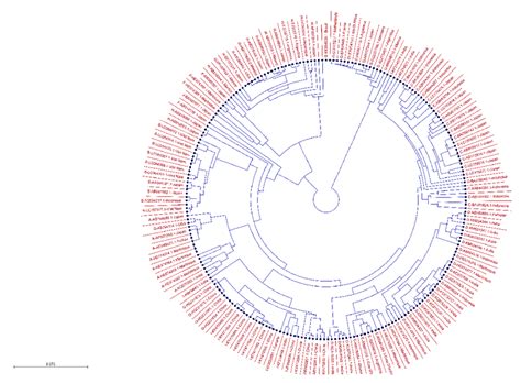 Sequence Alignment Of Hbv Genotype Specific Consensus Sequences Of The
