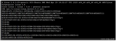 扫描技术的原理与应用（nmap使用）扫描技术的原理与应用实验报告截图 Csdn博客