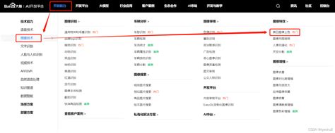 利用python调用百度api实现黑白图像处理python 黑白涂色上色 百度api Csdn博客 利用python调用百度api实现黑白图像处理python 黑白涂色上色 百度api Csdn博客