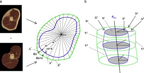 figure 6 from technical section a sketch based approach to human body