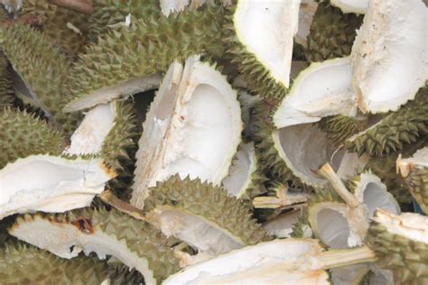 5 Common Durian Myths About Cholesterol Sex Drive And Alcohol Plus The