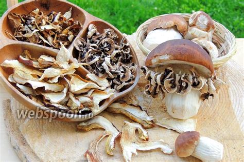 Белые грибы сушёные рецепт с фото, как приготовить на Webspoon.ru