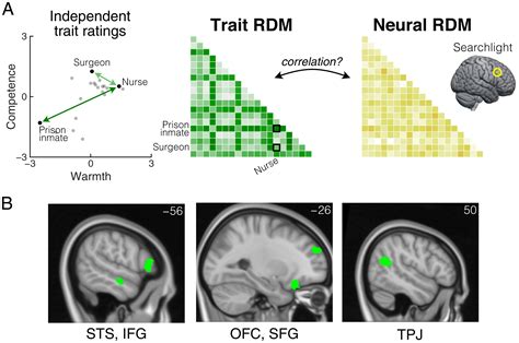Neural Representations Of Others Traits Predict Social Decisions Pnas