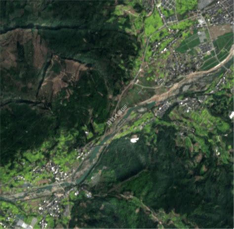 阈值随机森林语义分割探究遥感影像油菜农作物提取方法遥感森林分割 Csdn博客