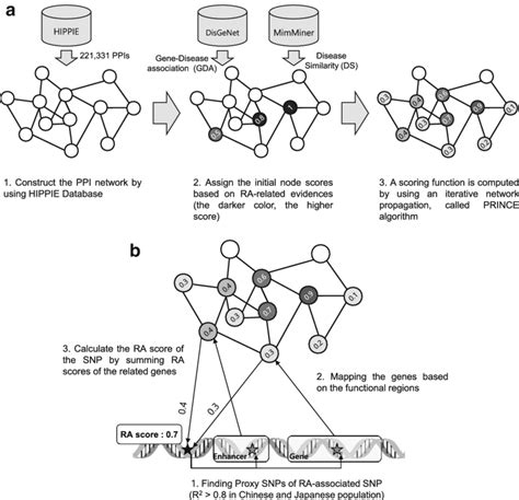 Post Gwas Analysis Construction Of An Ra Network A Mapping