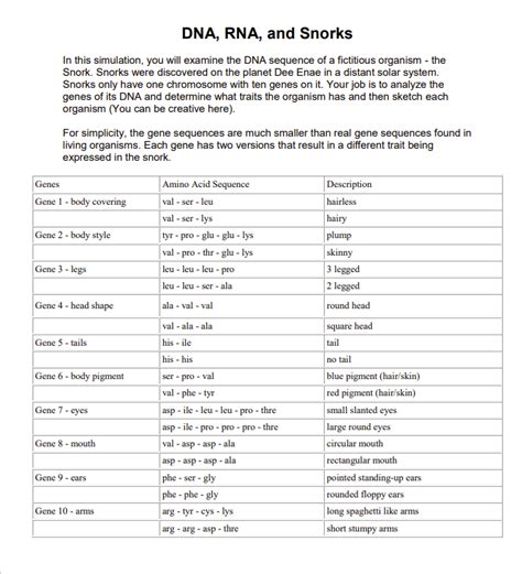 Solved Dna Rna And Snorks In This Simulation You Will