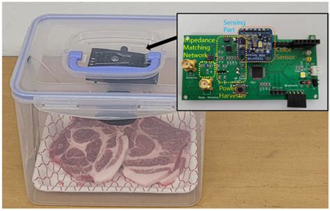 Battery Free Pork Freshness Estimation Based On Colorimetric Sensors