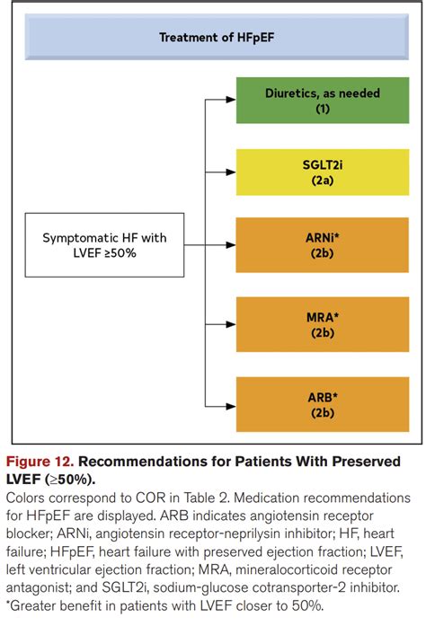 Cellular And Molecular Differences Between Hfpef And Hfref Ultromics
