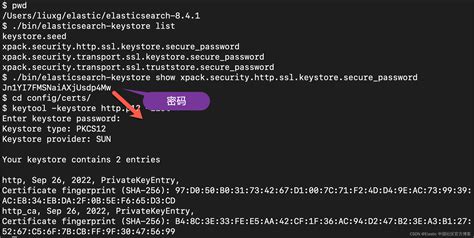 Logstash：如何连接到带有 访问的集群 Logstash Ssl 访问 Elasticsearch Csdn博客