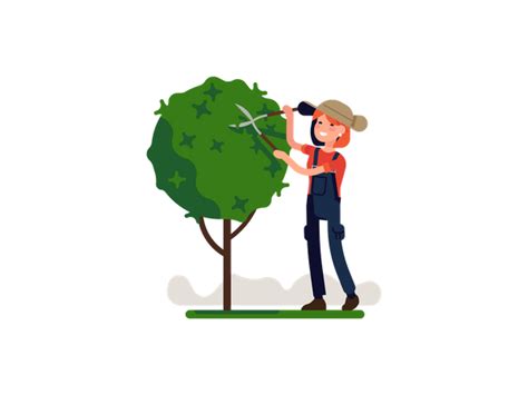 Best Premium Woman Pruning Small Tree Illustration Download In PNG