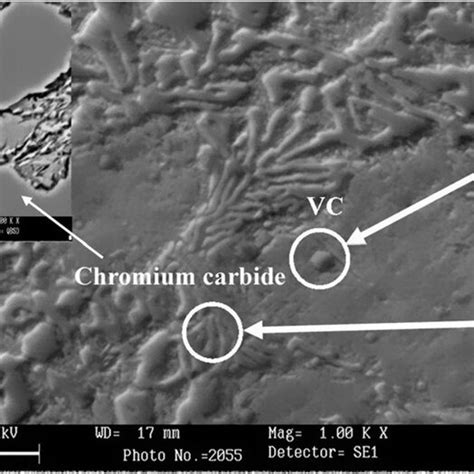 Sem Micrographs And Eds Patterns Showing Vc Particles And Chromium Download Scientific Diagram