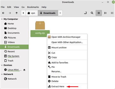 How To Setup Vpn On Linux Mint Setup For Openvpn Protocol Zoogvpn