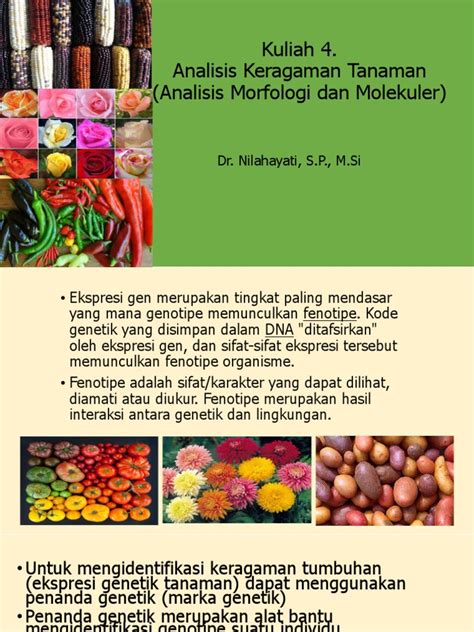 Keragaman Tanaman Analisis Morfologi Dan Molekuler Pdf