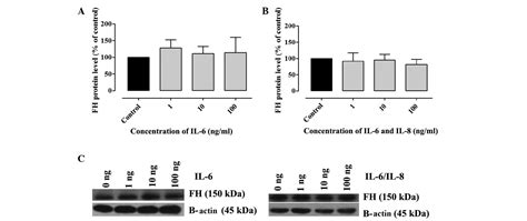 Normalization In Graphpad Prism 8 Labslasopa