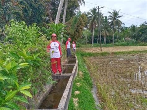 Nia And Dole Join Forces In Tupad Program Implementation Nia Region Iii