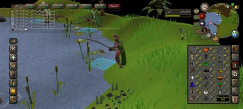 Hows My Hcim R 2007scape