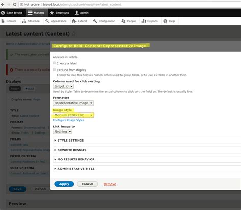 Representative Image Drupal Org