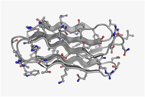 Bacteriocin Và ứng Dụng Trong điều Trị Bệnh Vi Khuẩn Trong Nuôi Trồng Thủy Sản