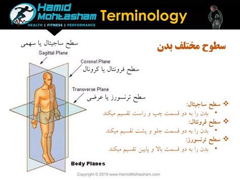 Human Locomotor System Pdf