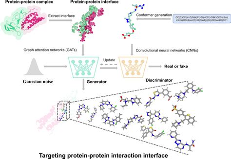 Interface Aware Molecular Generative Framework For Proteinprotein Interaction Modulators Pmc