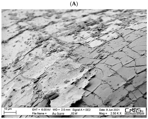 Chemosensors Mdpi On Linkedin Article Openaccess Metal