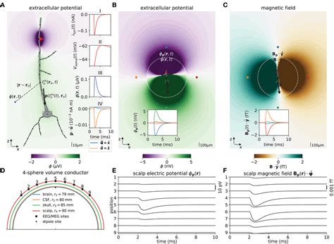 Illustrations Of Forward Model Dipole Approximation Eeg And Meg