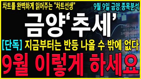 금양 주가 전망 이 때까지 흔들리지 말자 유상증자 불확실성 확대로인한 하락흐름 분명히 불확실성해소시 강한 반등흐름은