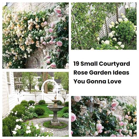 19 Small Courtyard Rose Garden Ideas You Gonna Love Sharonsable