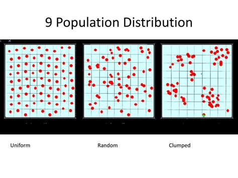 Ppt Population Growth Powerpoint Presentation Free Download Id2442708