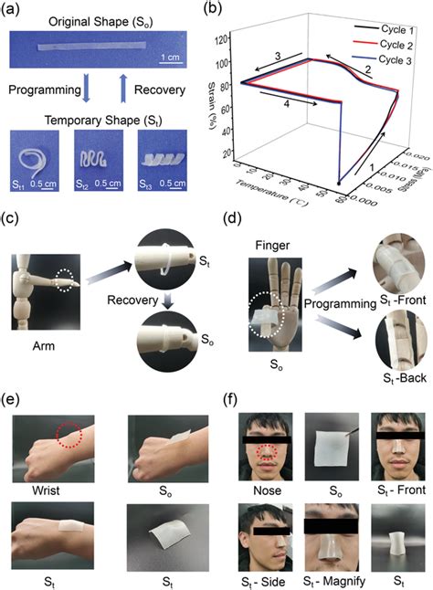 Investigation Of Shapememory Properties A Shapememory Properties Of Download Scientific