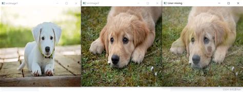 Opencv图像处理学习五，图像的线性混合叠加opencv 叠加两张图 Csdn博客