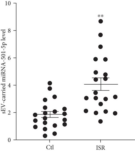 mirna microarray assay and the relationship of mirna 501 5p and