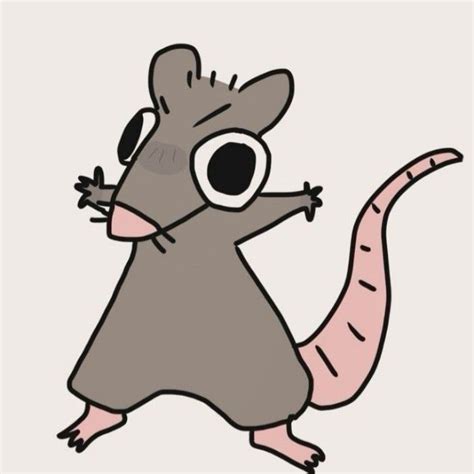 Pin By Angela On Visual Novo In 2025 Cute Rat Drawings Funny