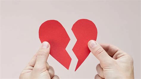 Coleoptera What Are Characteristics Types And Examples Evidence