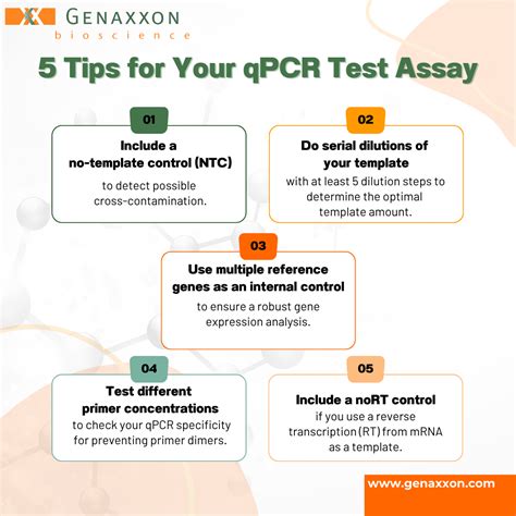 Qpcr Optimierung Im Fokus Tipps Und Tricks Für Exzellente Analysen