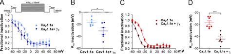 γ 1 L Eft Shifts The Steady State Inactivation Of Both Ca V 11a And Ca Download Scientific