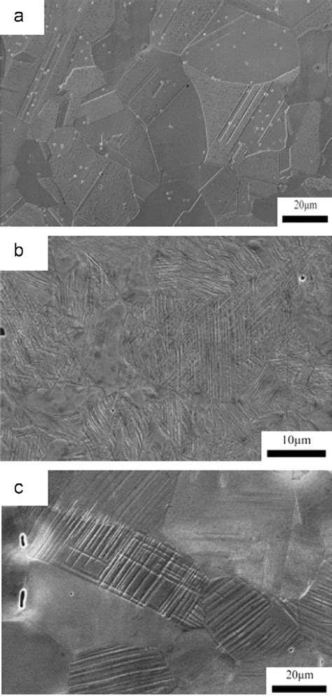 Scanning Electron Microscopy Of Twip Steels To Show Microstructures At