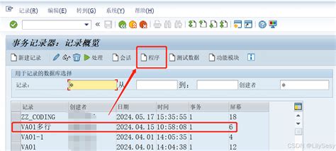 abap小白开发操作手册 （七）调用bdc abap bdc csdn博客