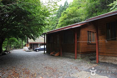 유치자연휴양림 전라남도 장흥군 가볼만한곳