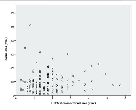 Thallus Area Vs Holdfast Cross Sectional Area For Macroalga Download Scientific Diagram