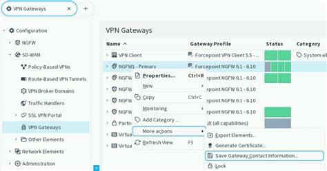 how to use ssl when connecting to a preconfigured gateway with windows